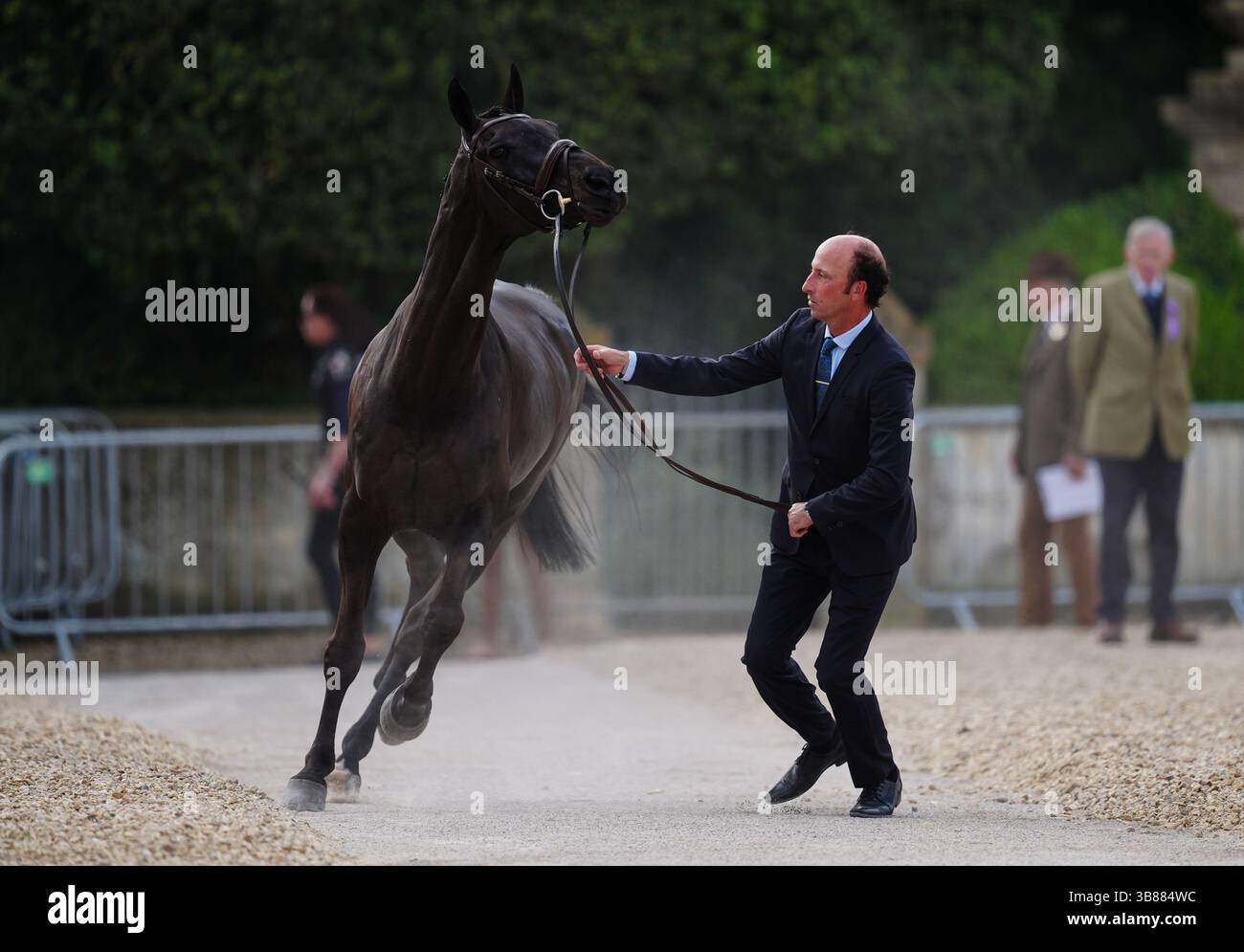 Tim Price with Vitali during the horse inspection on day one of the MARS Badminton Horse Trials ...