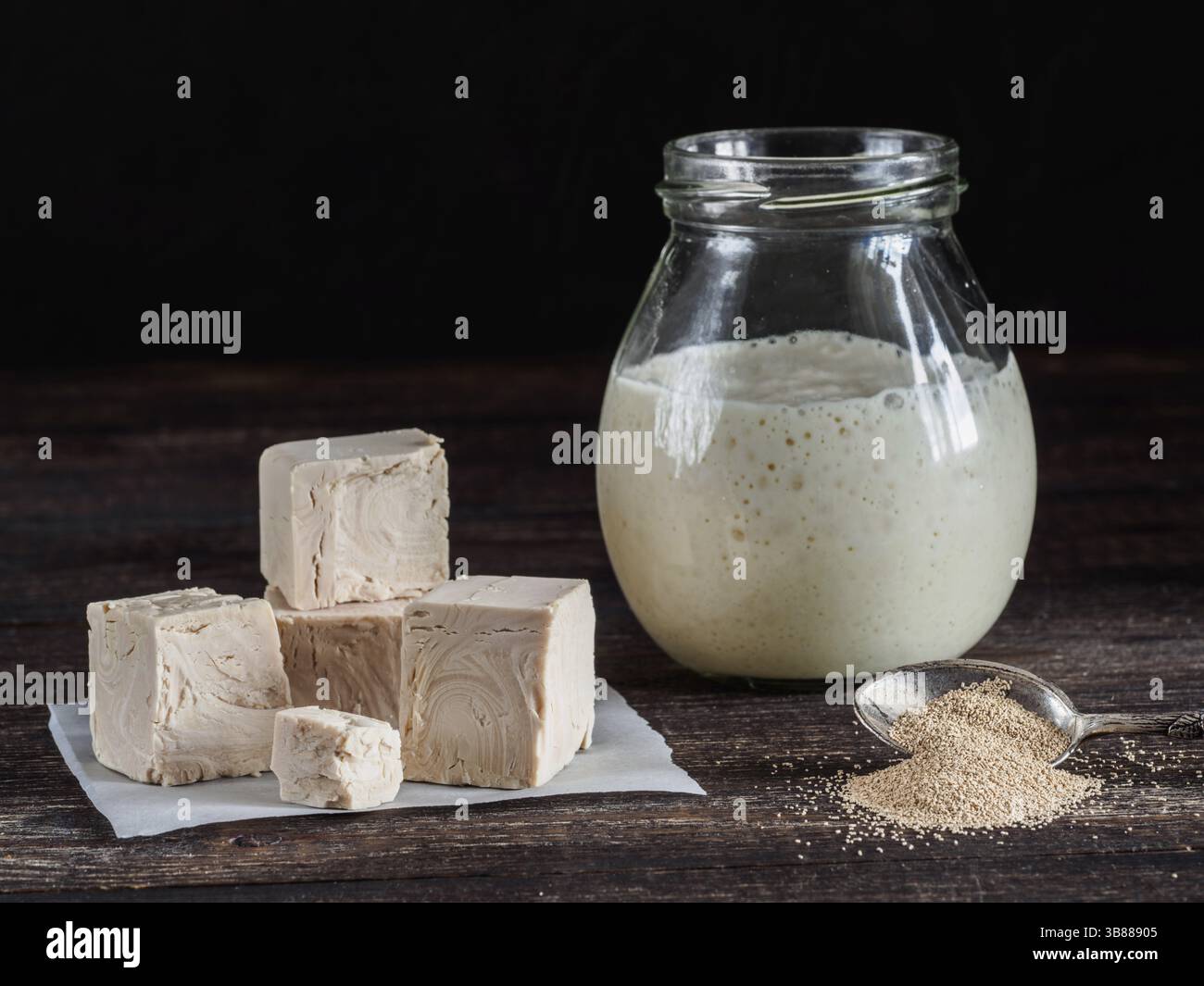 Different types yeast. Fresh pressed yeast, dry instant yeast and ...