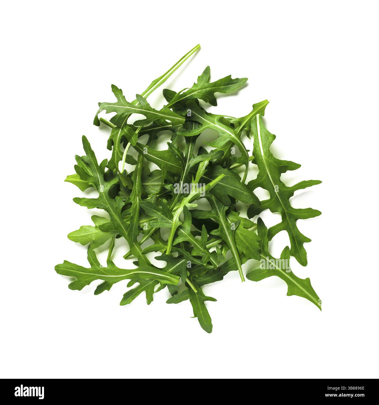 Heap of arugula leaves. Fresh green arugula or rucola leaves isolated ...