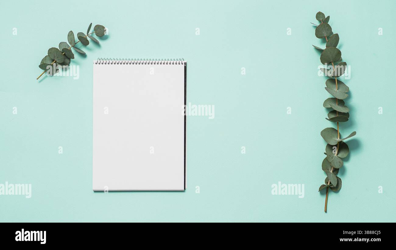 Blank notebook and eucalyptus on blue background. Empty notebook paper ...