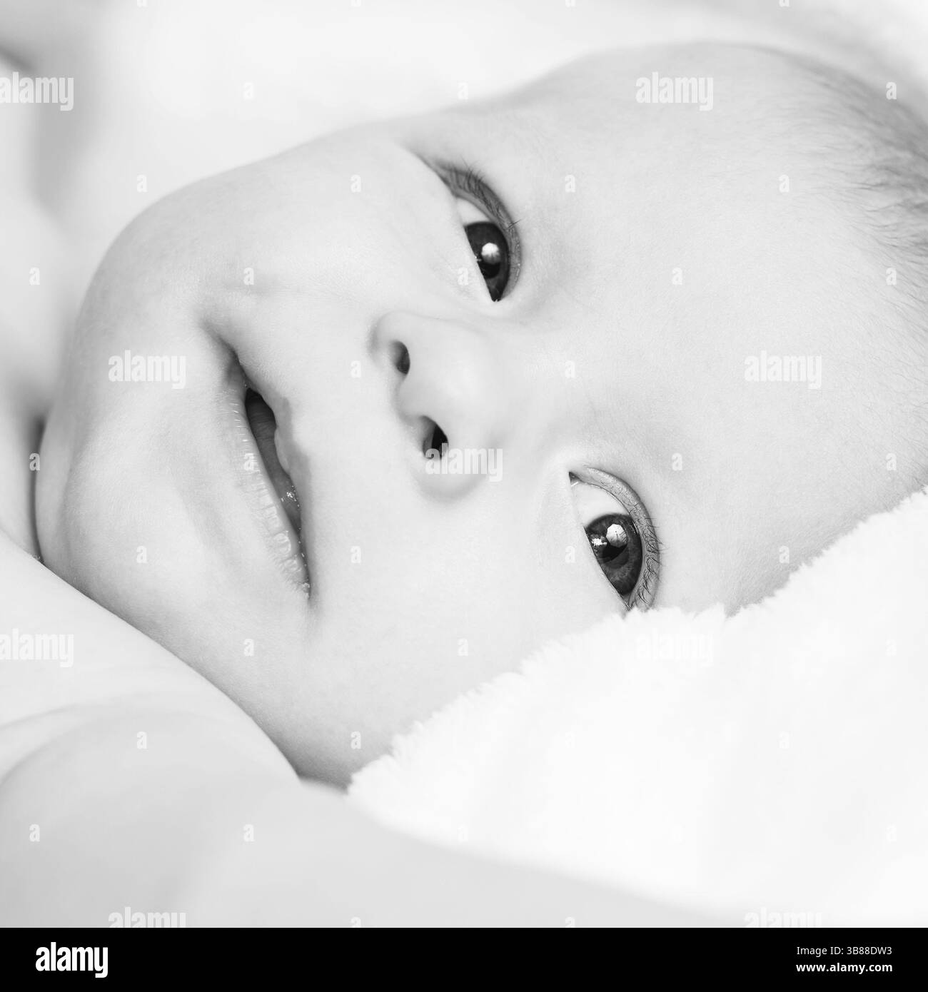 Close up detailed image Black and White Stock Photos & Images - Alamy
