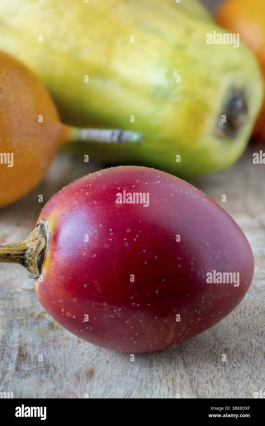 Tropical fruits. Hot tree tomato pictured Stock Photo - Alamy