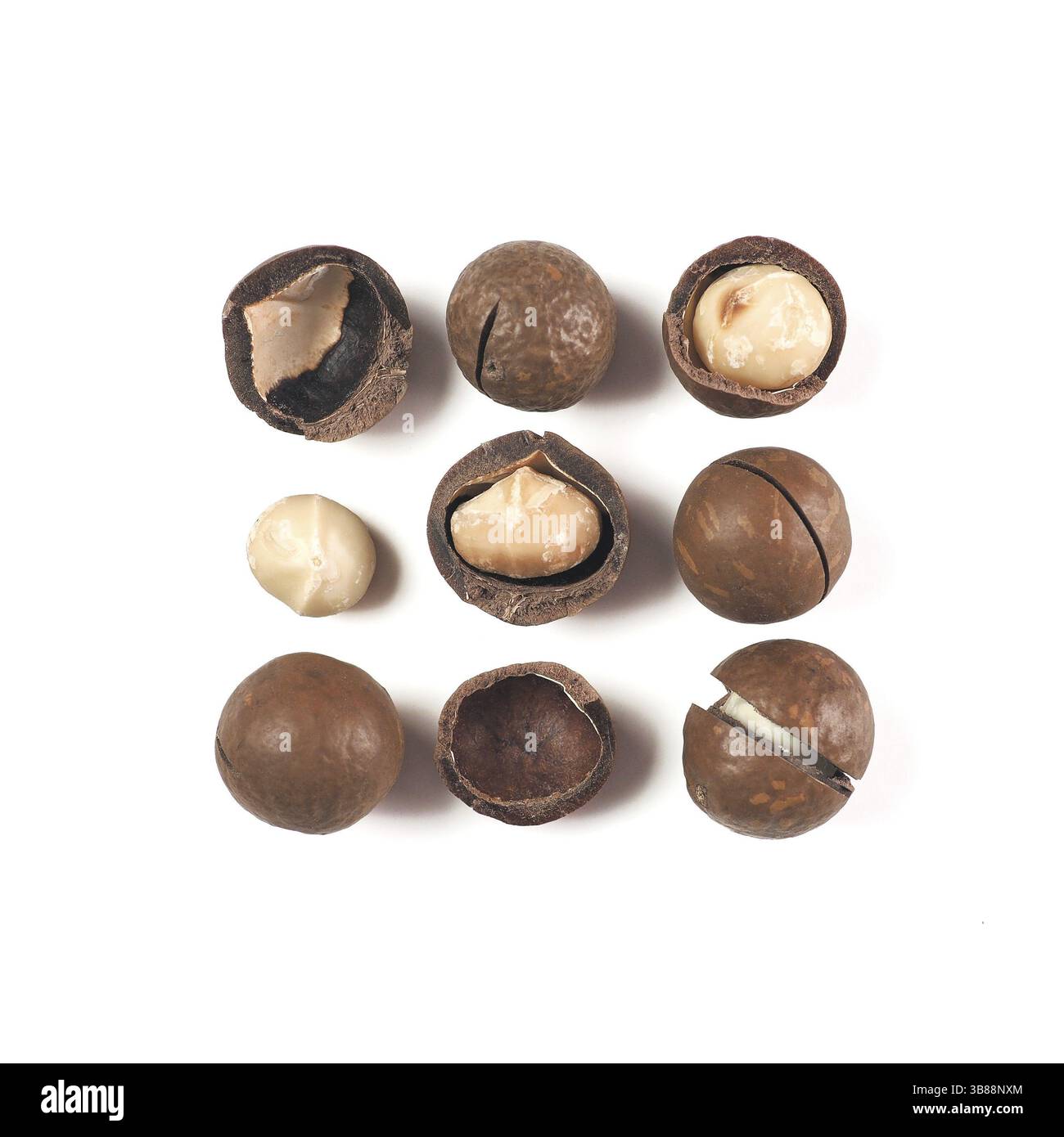 Nine macadamia nuts on white background with clipping path. Set of ...
