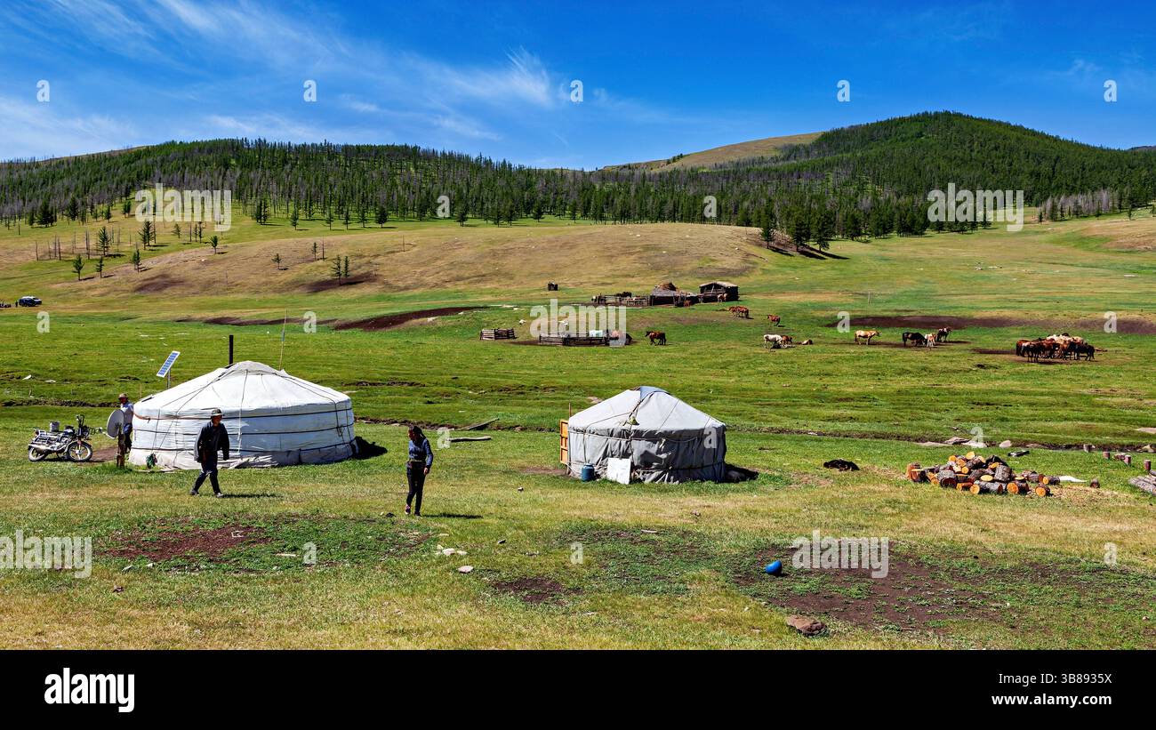 Mongolian Yurt and Camp of nomadic people Stock Photo - Alamy