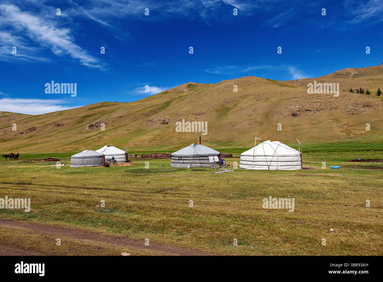 Mongolian Yurt and Camp of nomadic people Stock Photo - Alamy