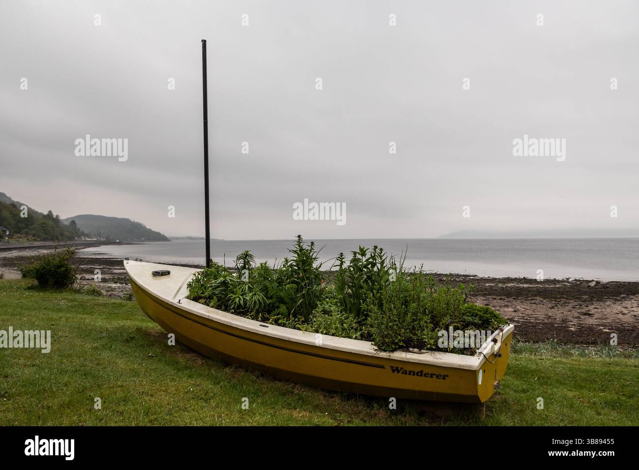 Boat planter hi-res stock photography and images - Alamy