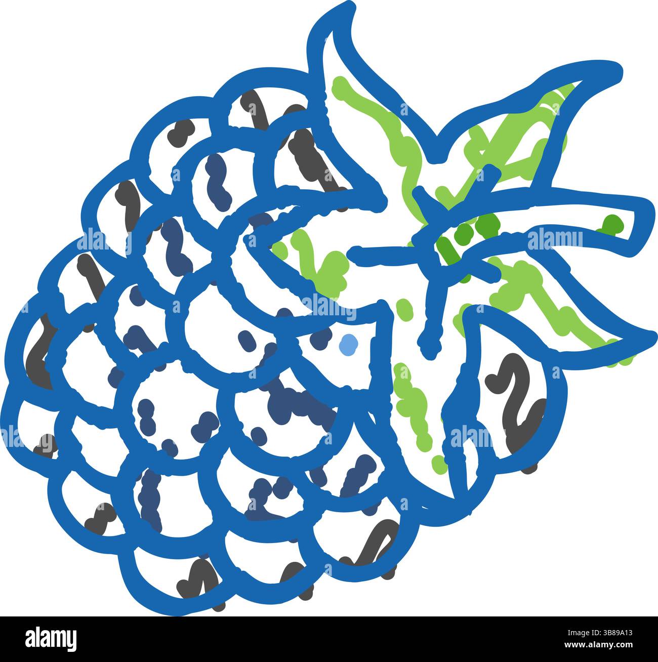 blackberry berry icon doodle illustration Stock Vector Image & Art - Alamy