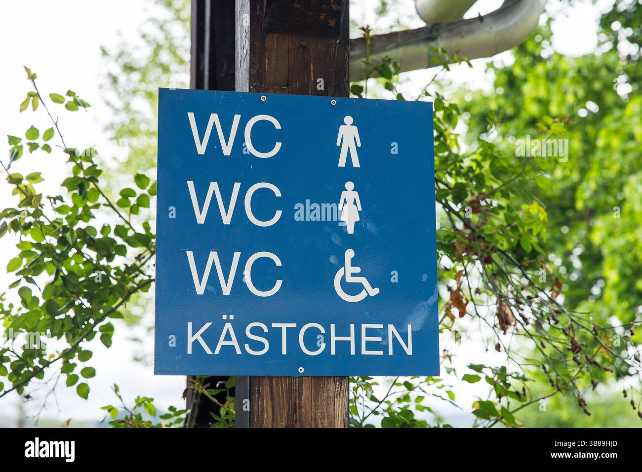 Blue outdoor restroom sign with male, female, and accessible symbols ...