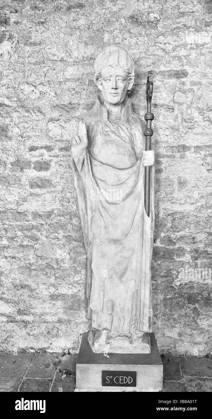 Medieval stone statue, of St Cedd, a saxon monk, in the cloister at New ...