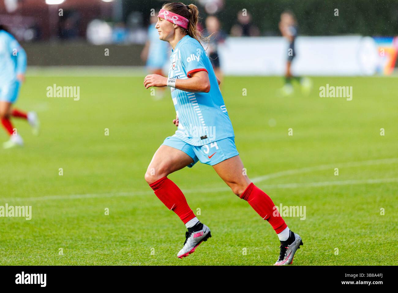 Schlegel, ally hi-res stock photography and images - Alamy