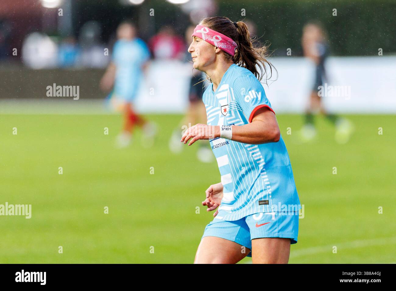 Schlegel, ally hi-res stock photography and images - Alamy