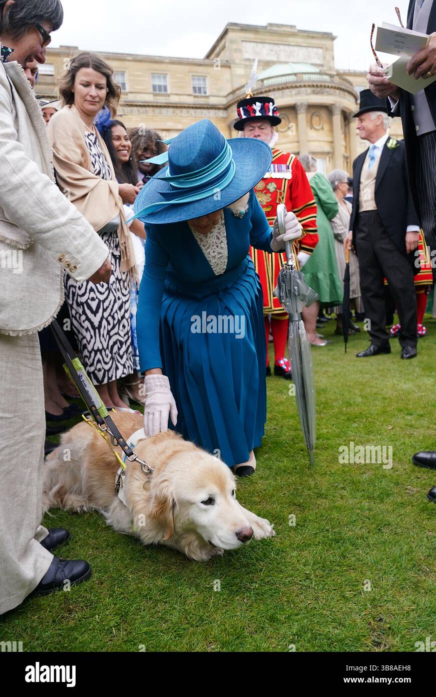 Queen Camilla is seen stroking Jeanette Binns' Labrador, Haworth, under ...