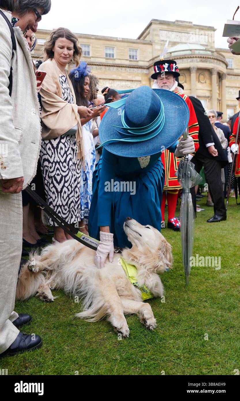 Queen Camilla is seen stroking Jeanette Binns' Labrador, Haworth, under ...