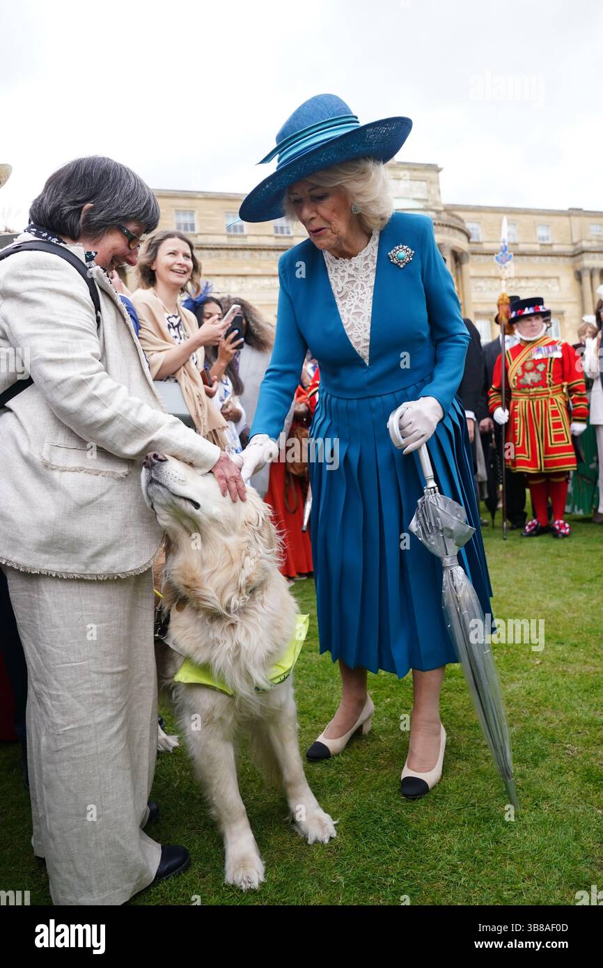 Queen Camilla is seen stroking Jeanette Binns' Labrador, Haworth, under ...