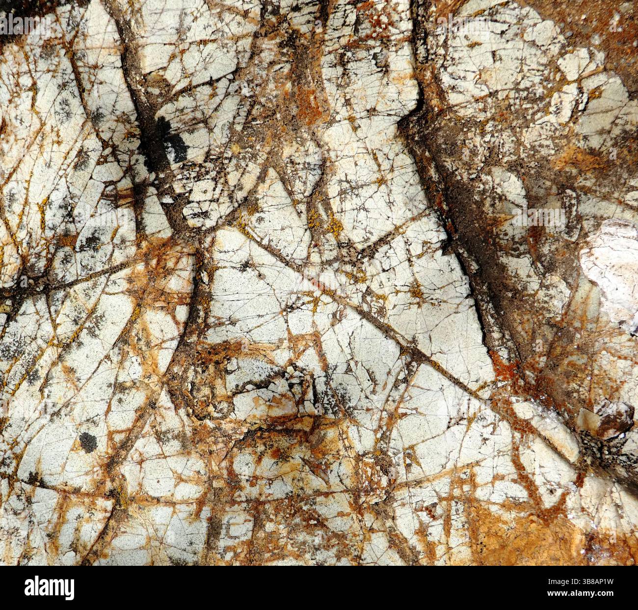 Closeup image of a natural paving stone embedded in an outdoor ...