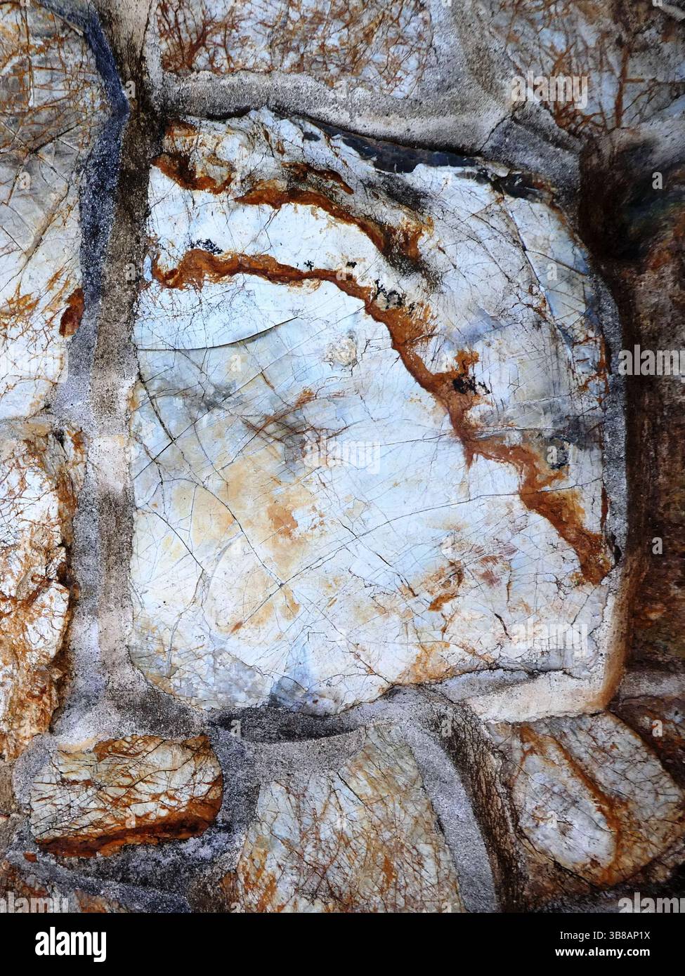 Closeup image of a natural paving stone embedded in an outdoor ...