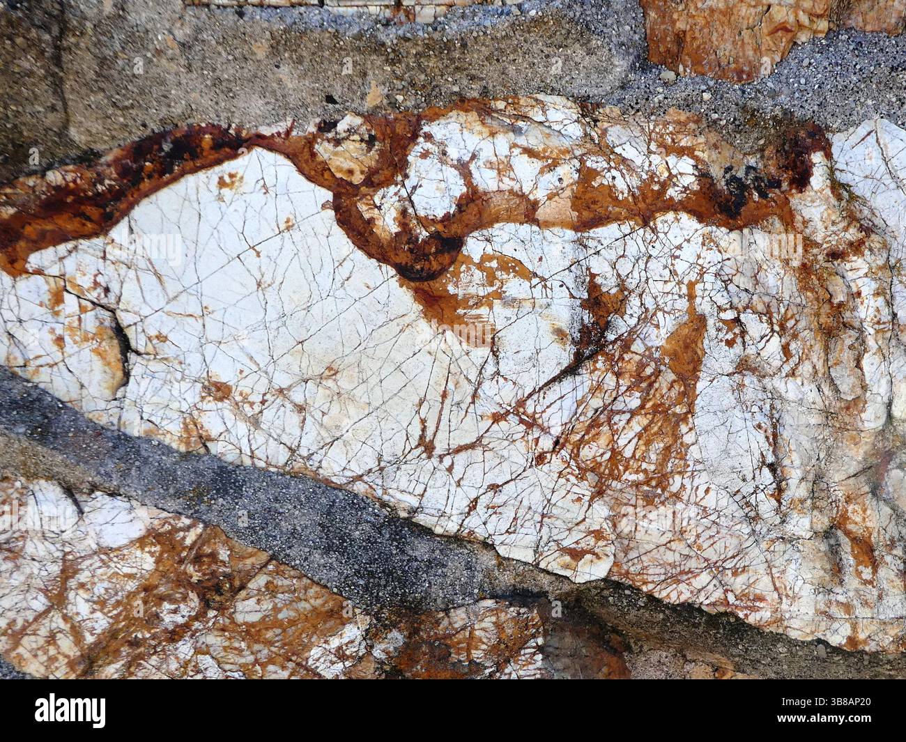 Closeup image of a natural paving stone embedded in an outdoor ...