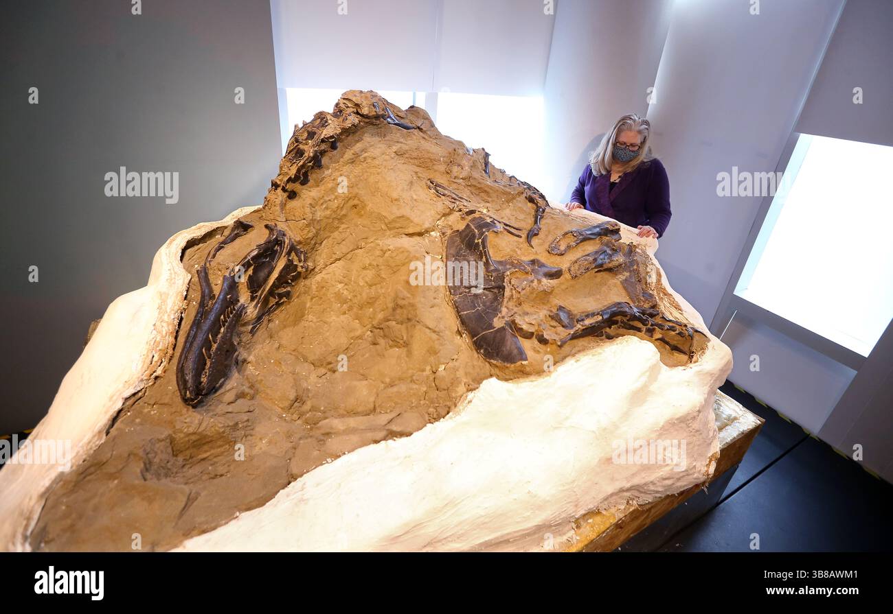 February 10, 2022, Raleigh, North Carolina, USA: LISA HERZOG ...