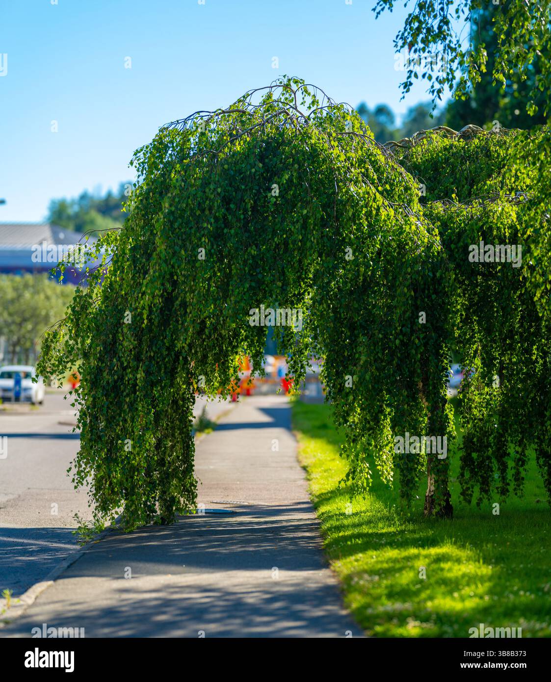 Archway formed hi-res stock photography and images - Alamy