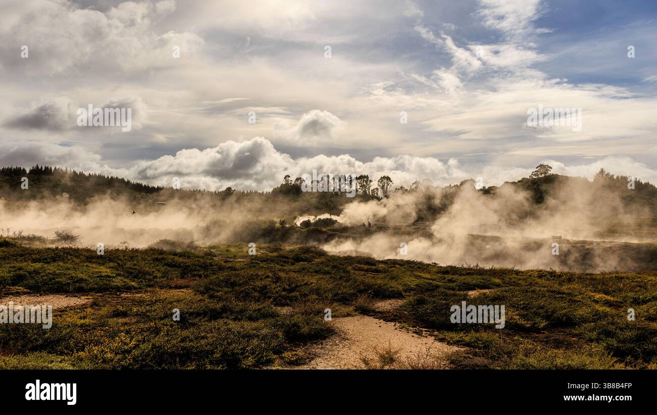landscape of craters of the moon geothermal site with low thermal ...