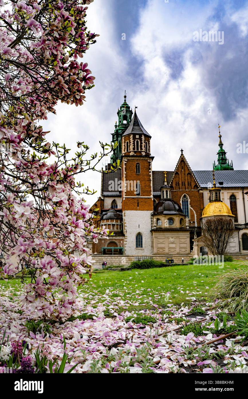 Wawel cathedral royal castle grounds hi-res stock photography and ...