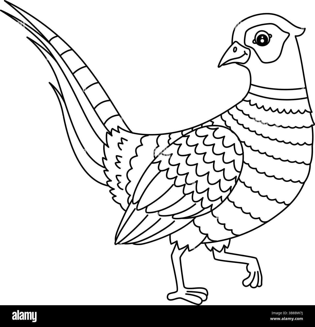 Bird Common Pheasant Isolated Coloring Page Stock Vector Image & Art ...