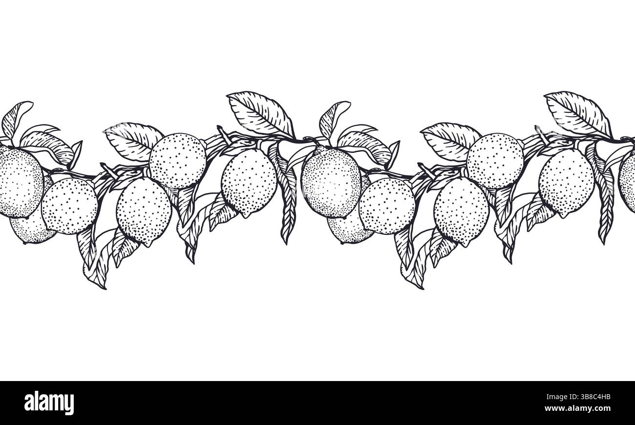 Lemon branch seamless horizontal border in black ink. Fruits and leaves ...
