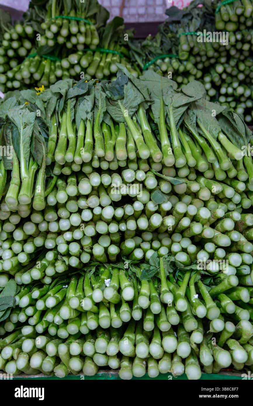 Yu choy sum brassica rapa var parachinensis hi-res stock photography ...