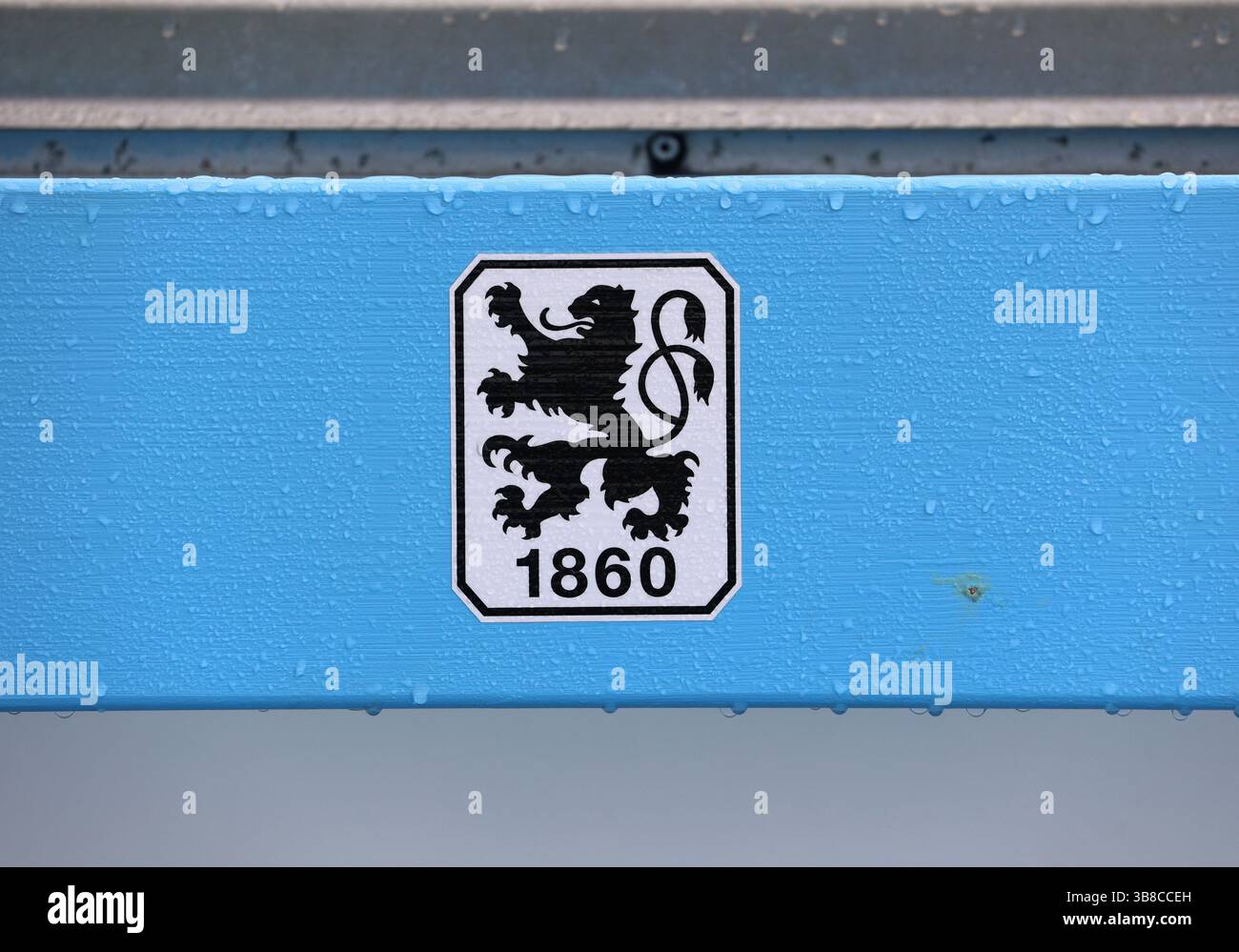 Fussball, Herren, 3.Liga, Saison 2024/2025, TSV 1860 München, Training ...