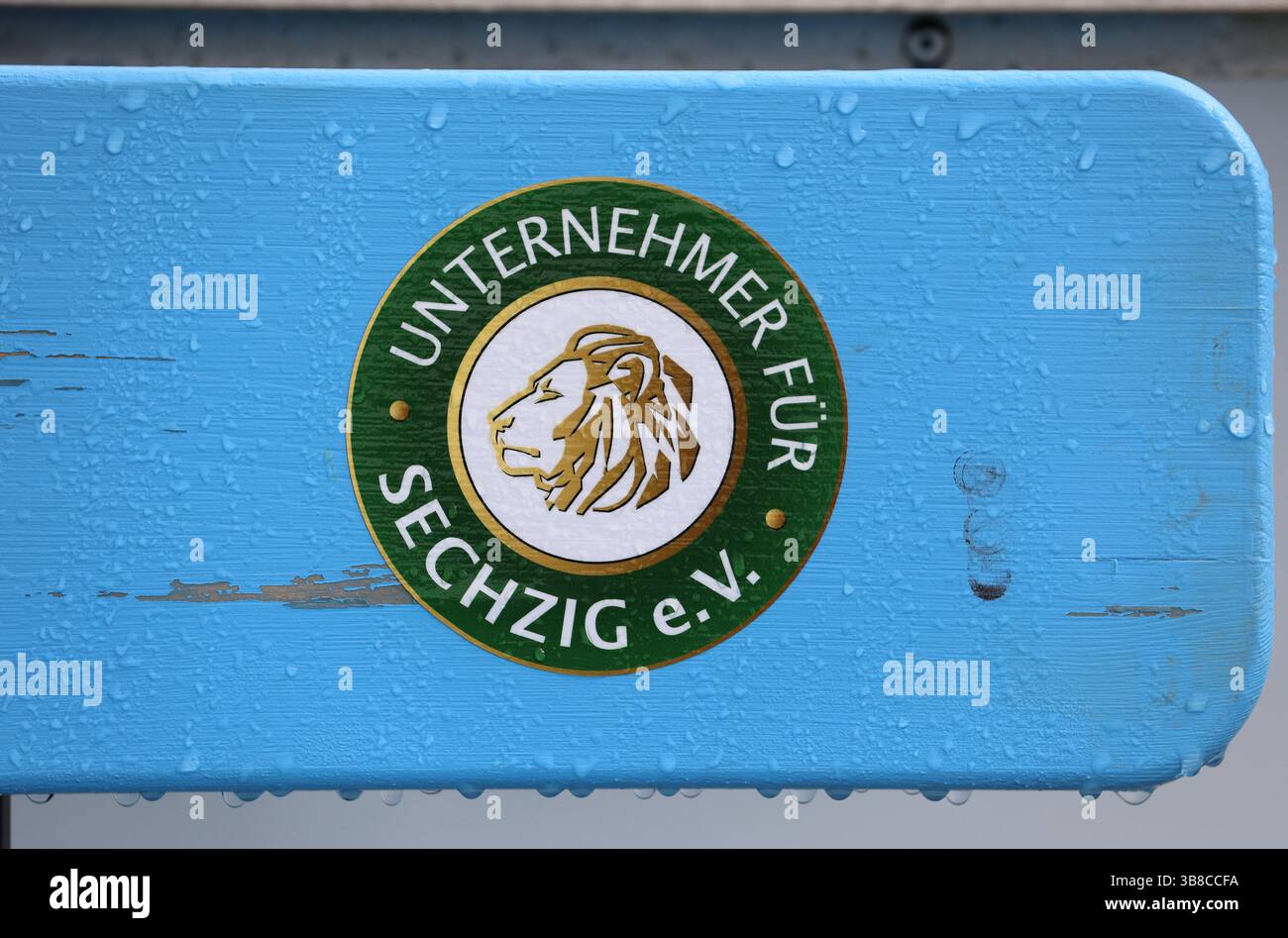 Fussball, Herren, 3.Liga, Saison 2024/2025, TSV 1860 München, Training ...