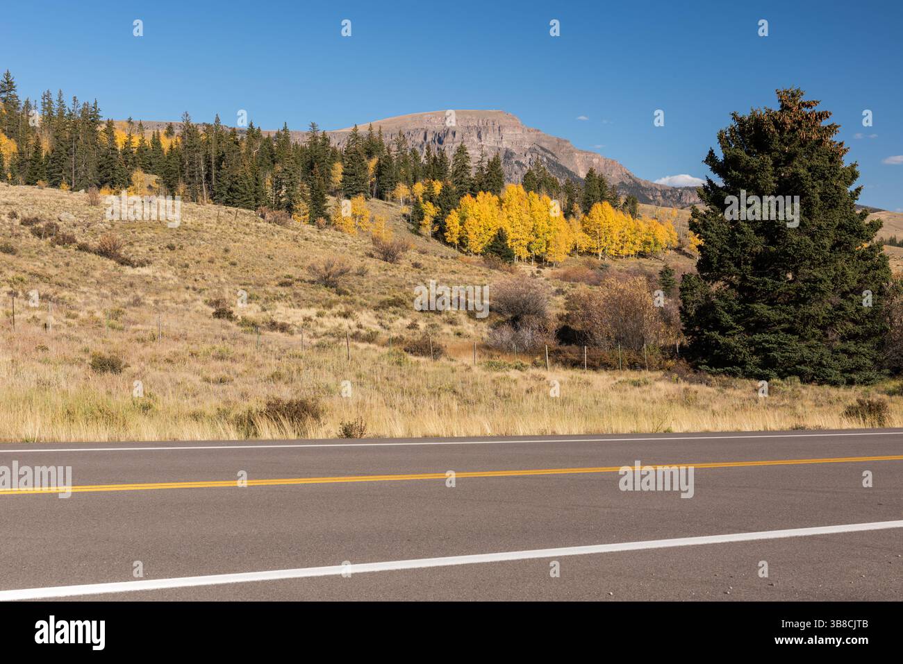 Between Lake City and Creede Colorado, is 12,706 Foot Bristol Head ...
