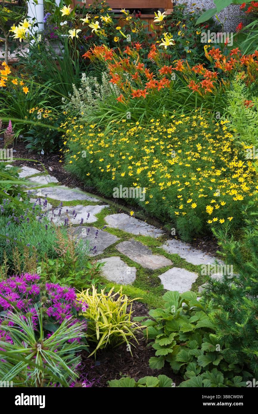 Flagstone path and mixed borders with purple Monarda 'Grand Parade ...