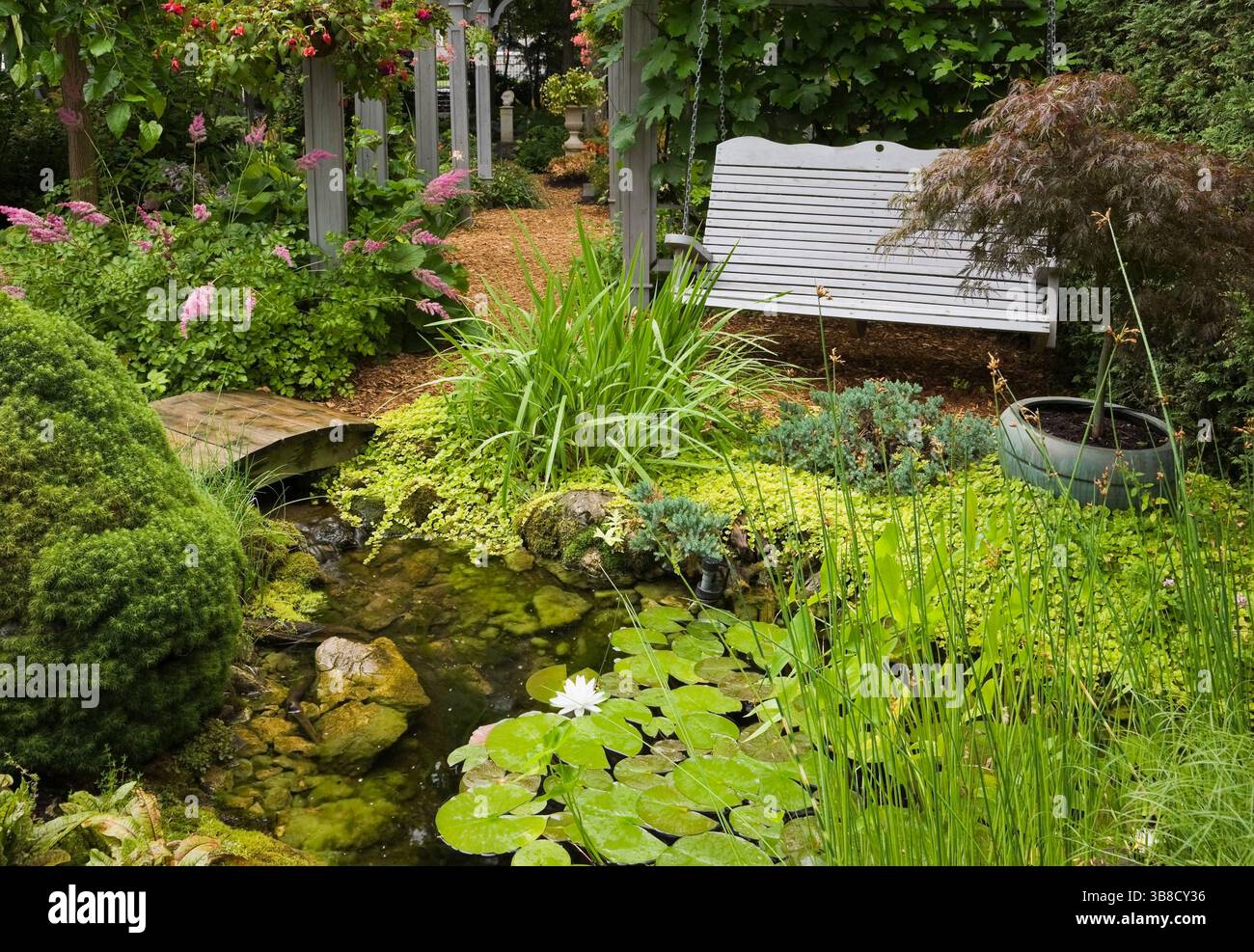 Gray wooden swing bench next to pond with wooden footbridge, Typha ...