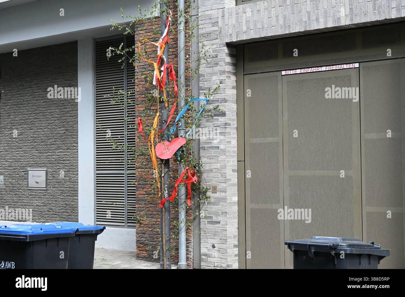 Maibaum steht vor einem Haus - ein mit bunten Bändern geschmückter Baum ...