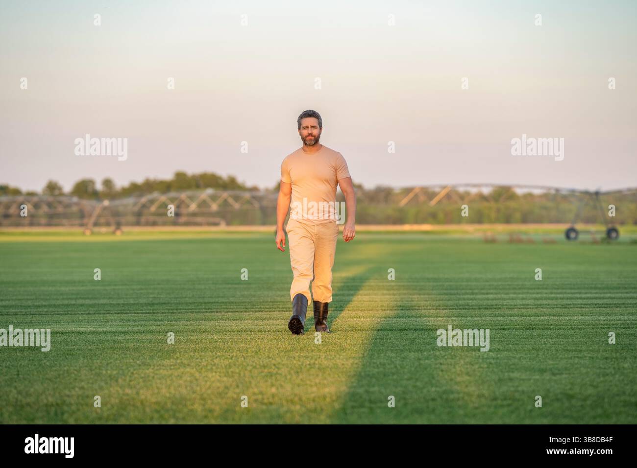 Agriculture and farming. Man at irrigation system watering agricultural ...