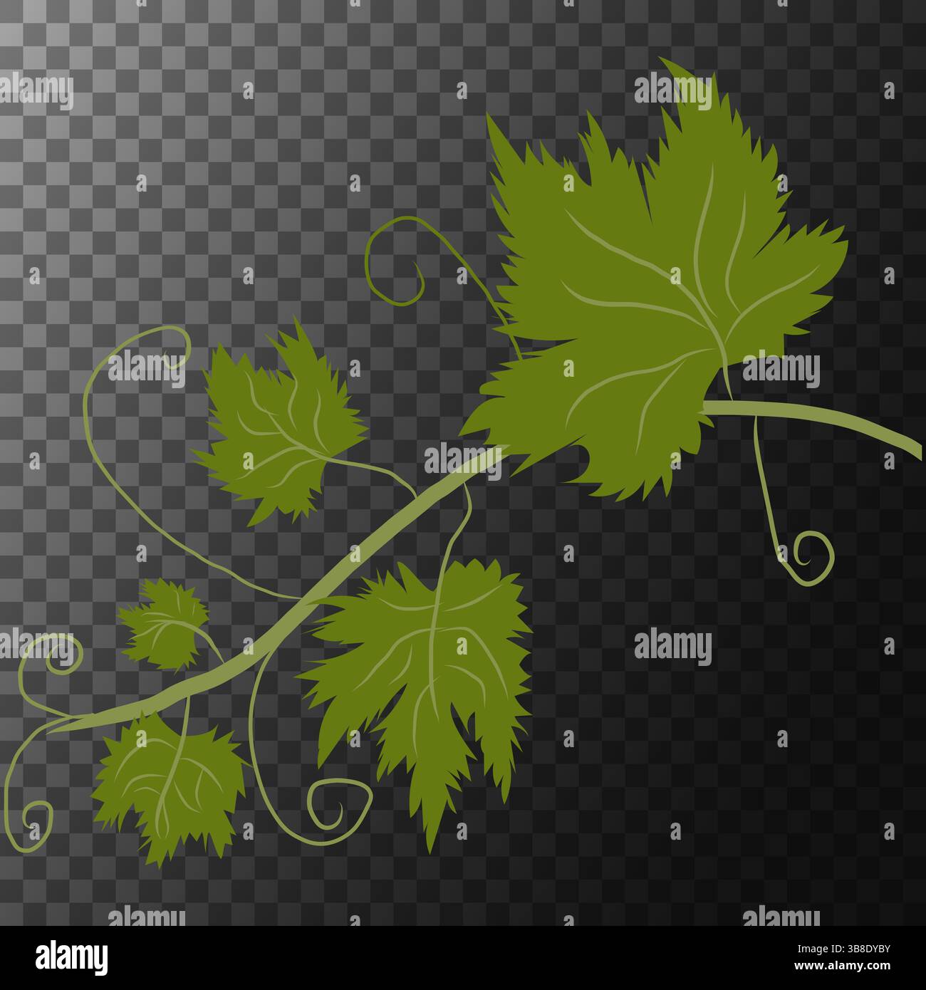 Vine branch illustration. Green leaves detail. Botanical plant design ...