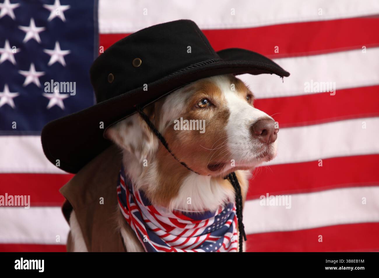 Cute dog in cowboy hat with scarf against USA flag, closeup ...