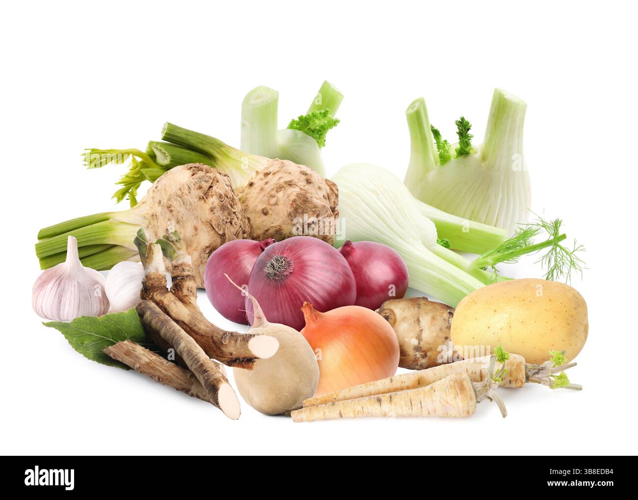Different root vegetables isolated on white. Onion, garlic and fennel ...