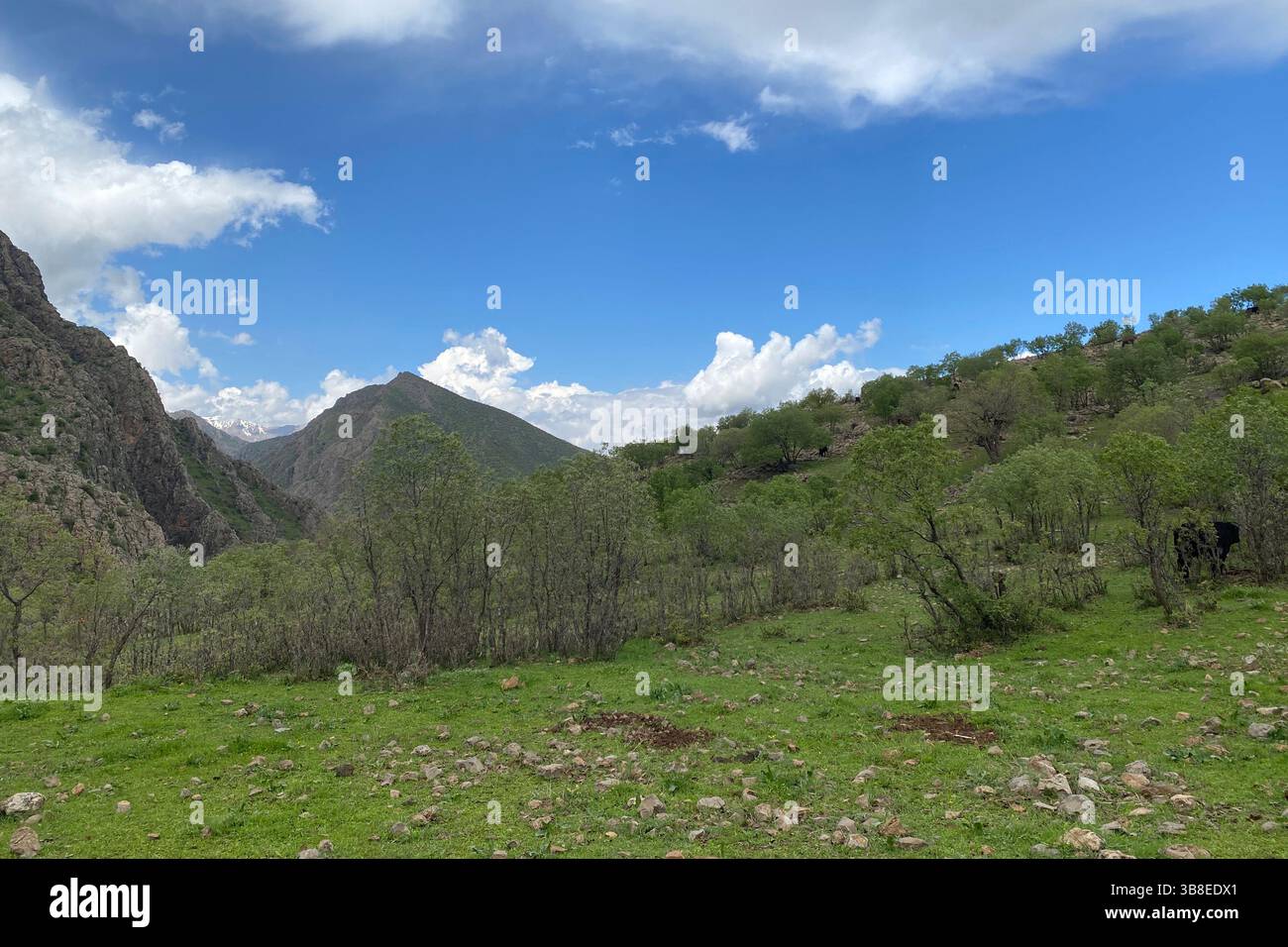 Two main components hi-res stock photography and images - Alamy