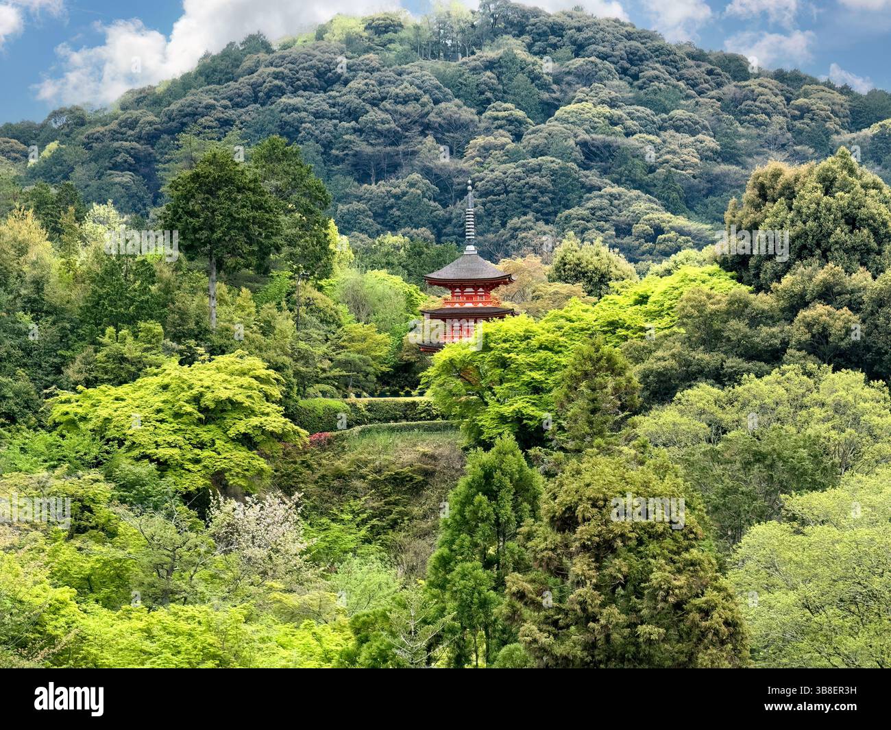 Shrine or temple in Japan hidden in Japanese maple trees on the ...