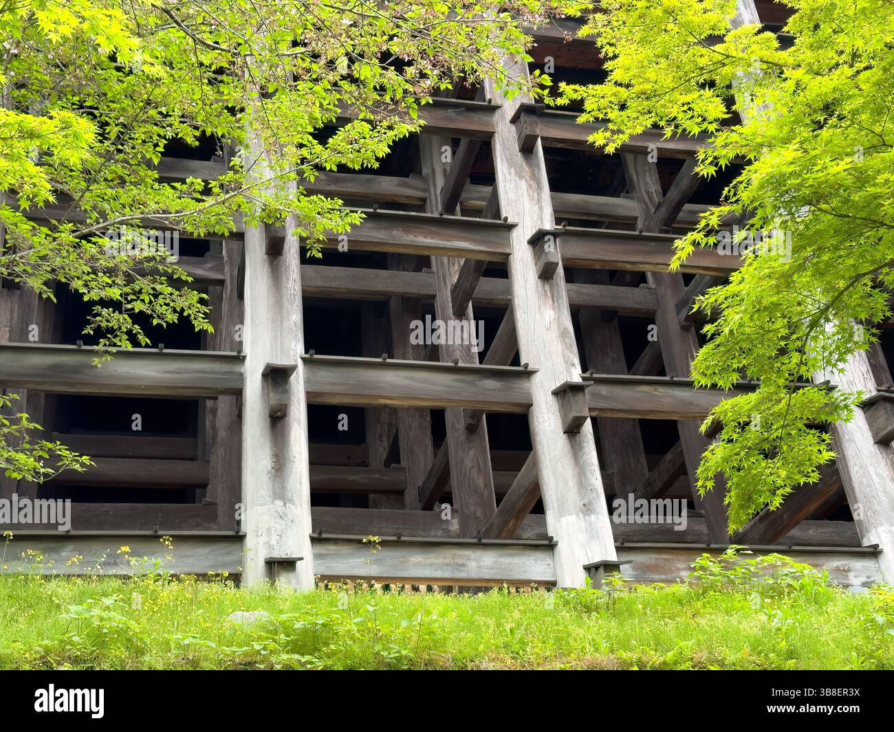 Wood support frame for building structure surrounded by Japanese maple ...