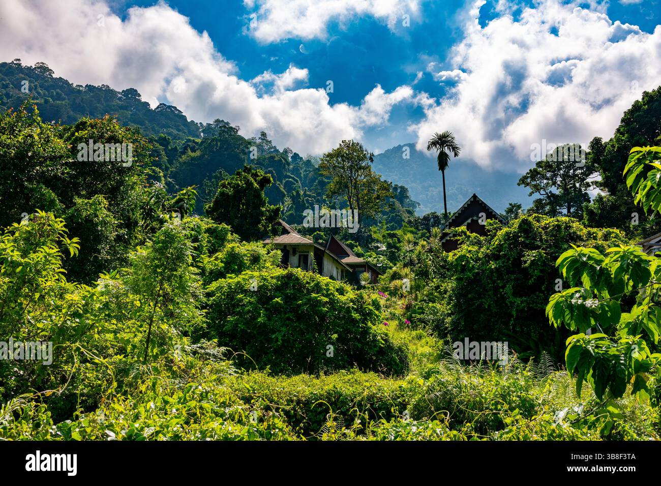 Pulau Tioman tropical island in Malaysia. South China sea. Southeast ...