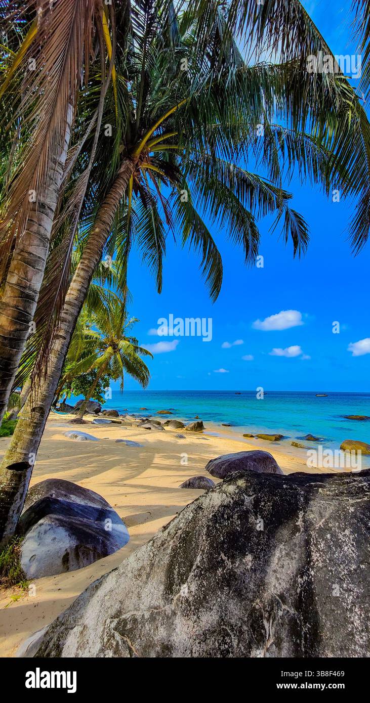 Pulau Tioman tropical island in Malaysia. South China sea. Southeast ...