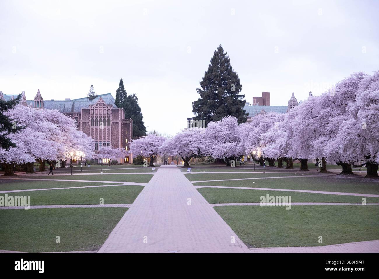 March 25, 2024, Seattle, Washington, USA: View of the University of ...