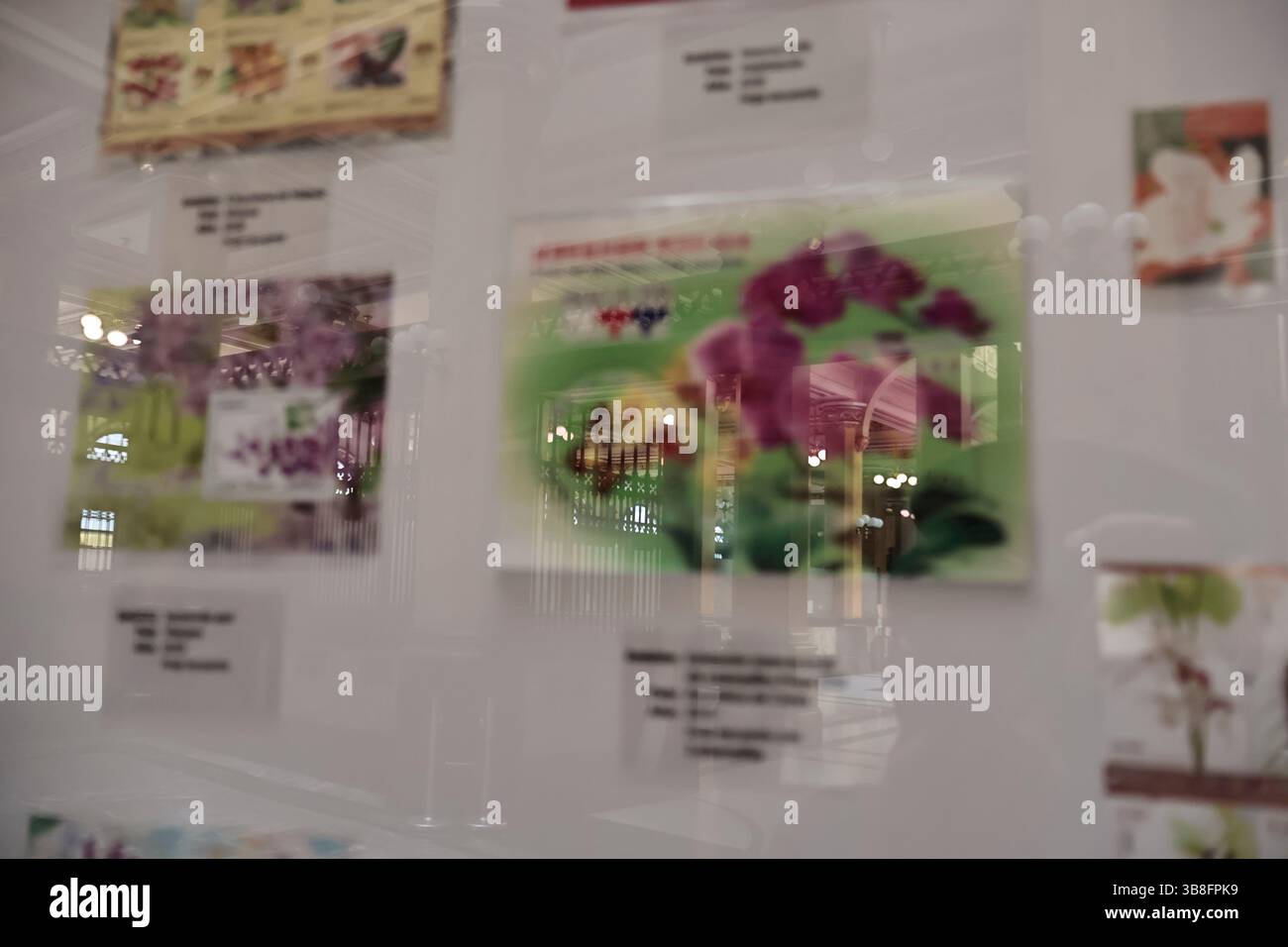 May 7, 2025, Mexico, Cdmx, Mexico: Located in downtown Mexico City is ...