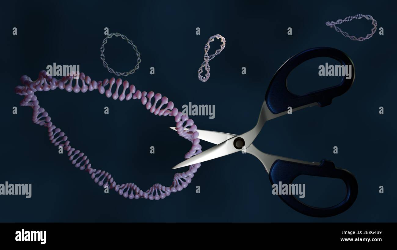 A 3d rendering of plasmid DNA and scissors. CRISPR-Cas9 acts as ...