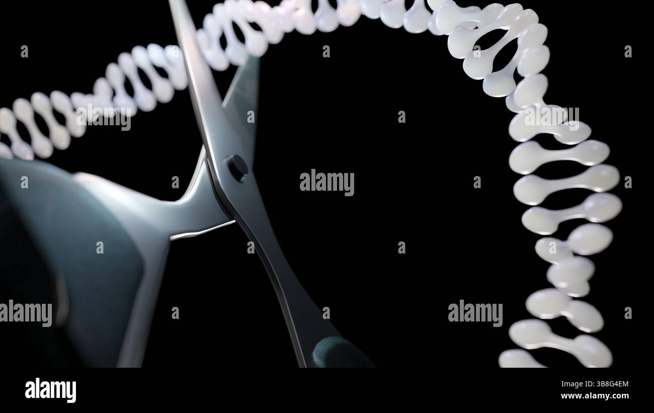 A 3d rendering of plasmid DNA and scissors. CRISPR-Cas9 acts as ...