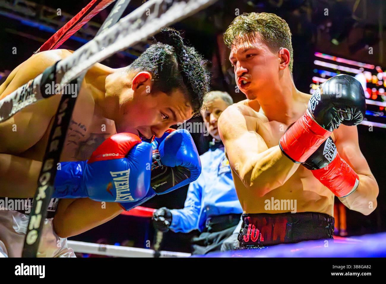 February 23, 2024, Huntington, New York, USA: JOHN GJINI lands a right ...
