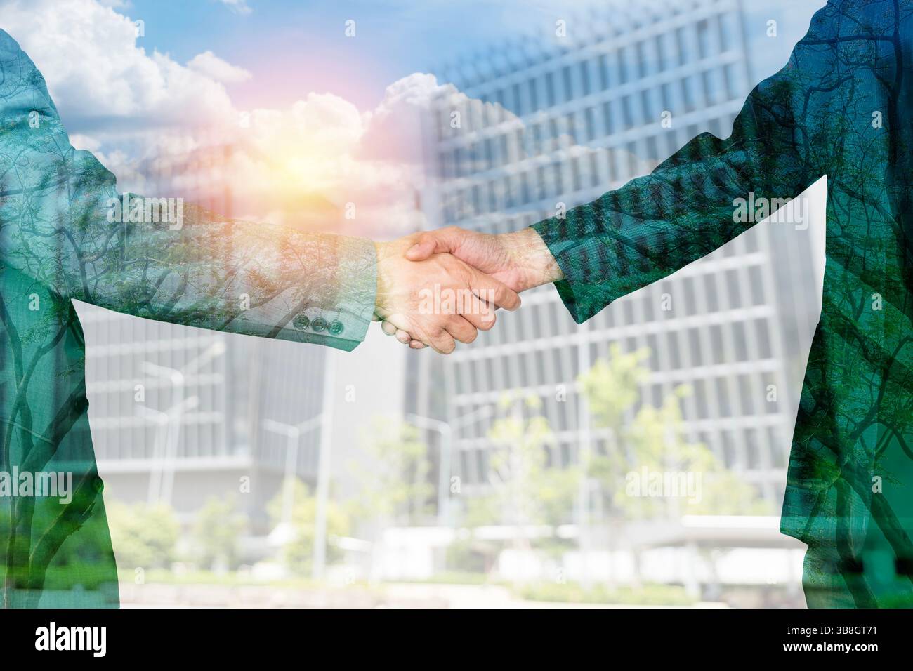 Businessmen shaking hands on branch tree isolated on white background ...