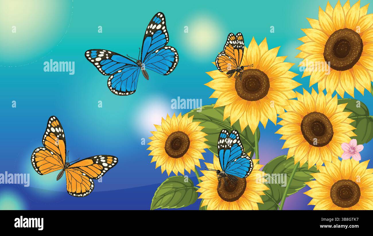 Colorful butterflies flutter around bright sunflowers. Vivid vector ...